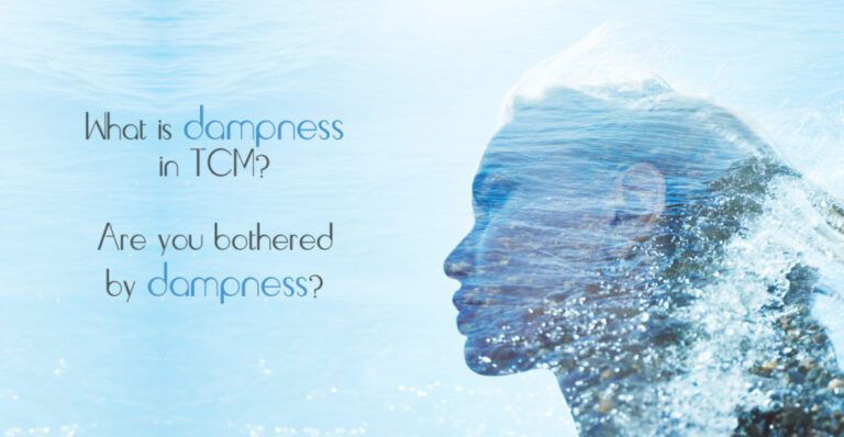 What is Dampness in Tcm? Are You Bothered by Dampness? - Sin Kang TCM