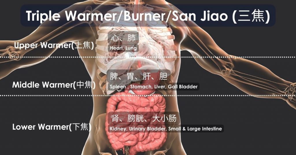 Lymphatic Drainage Massage: Reducing Water Retention and Swollen Lymph ...