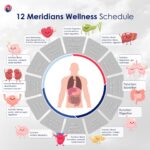 Exploring the 12 Meridians of the Body: A Guide to Your Body's Energy ...